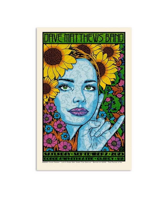 Dave Matthews Band Gorge Poster